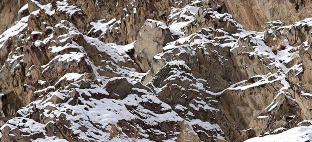 Výběr těch nejzajímavějších optických klamů a iluzí