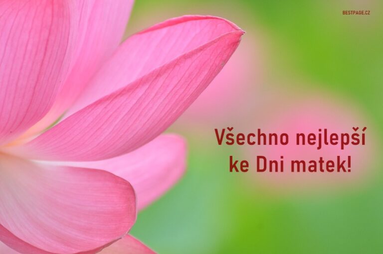 Přání ke Dni matek. Originální přáníčka. Den matek 2026