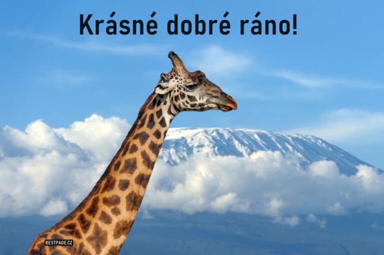 Přání na Dobré ráno (texty, obrázky). Ke stažení zdarma