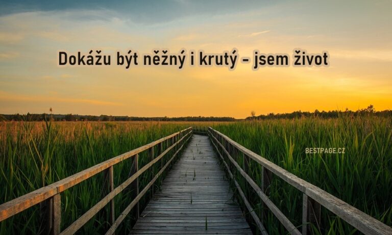 Nejlepší citáty v obrázcích (citáty k obrázku, fotce) zdarma