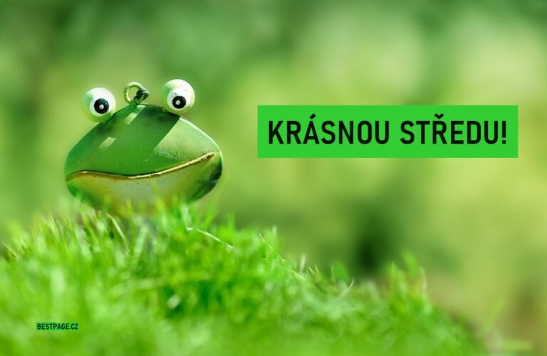 Přání na středu. Přání hezkého dne. Krásné obrázky s texty