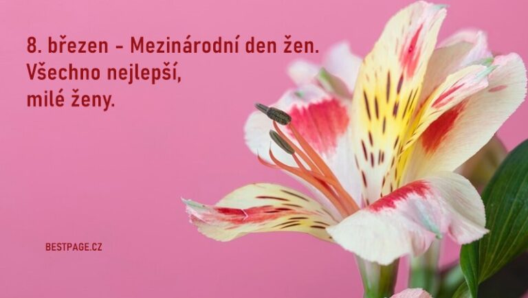 Přání k MDŽ mamince, manželce, partnerce, babičce. Stáhnout